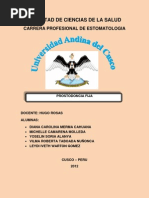 BS-LS-0161-es - Blue Sky Bio Plan User Manual - Attachment Rev 0 | PDF | Ct Scan | Ventana ...