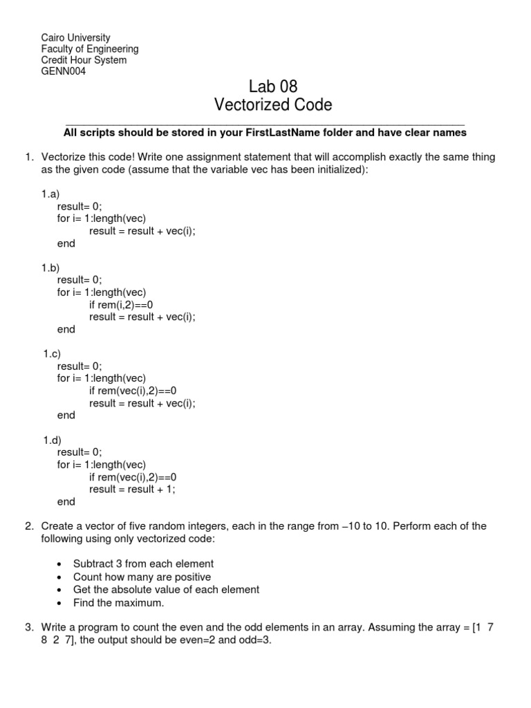Vectorized Code Lab Exercises | PDF