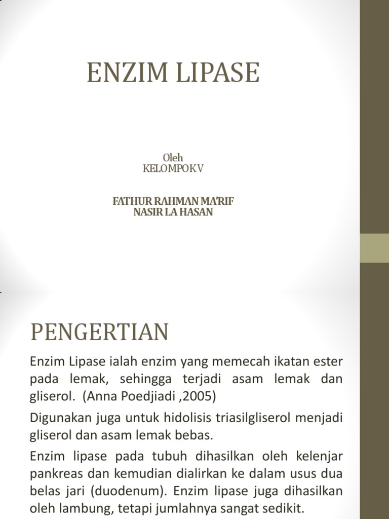 Enzim Lipase | PDF
