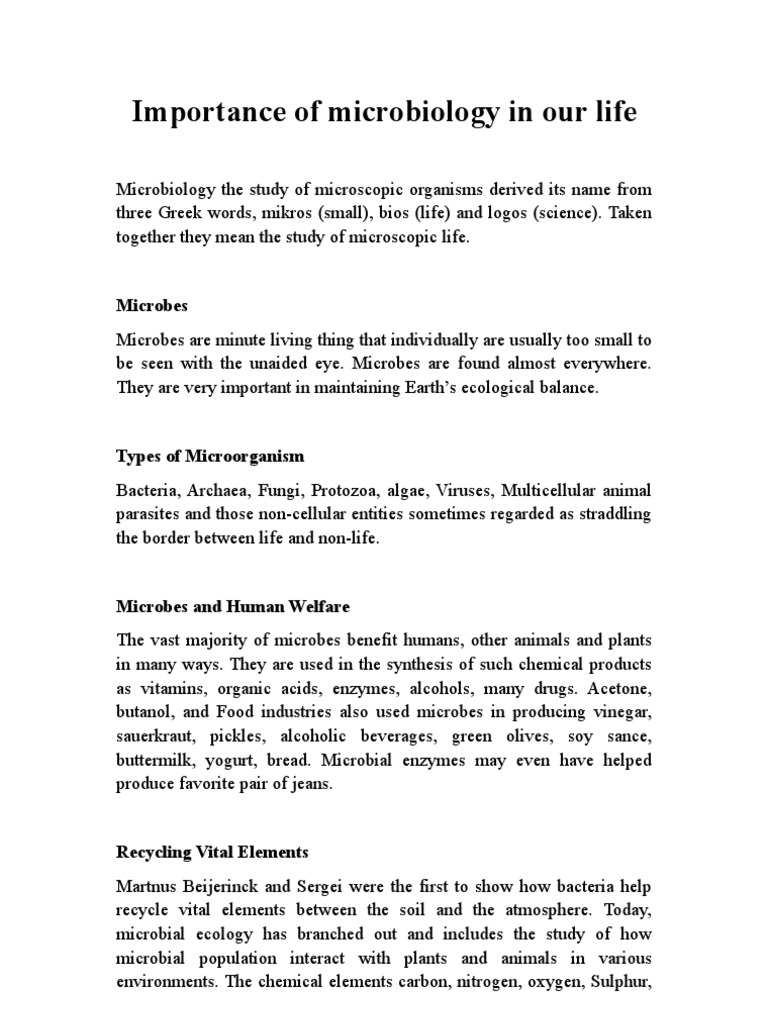 The Importance of | Microorganism