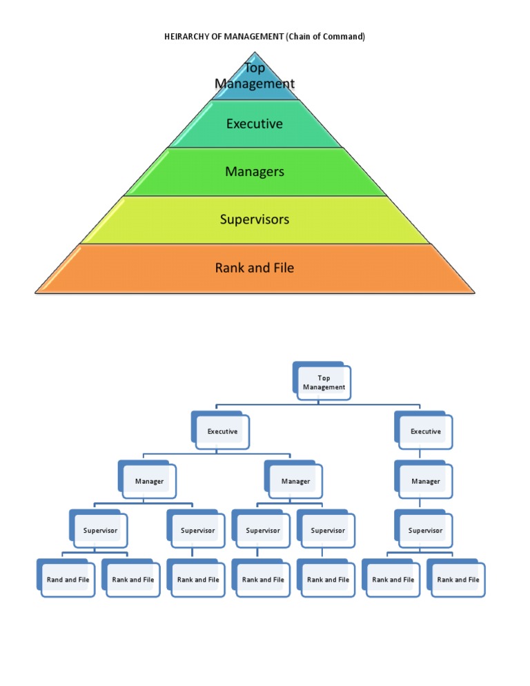 Hierarchy of Management Levels Explained | PDF