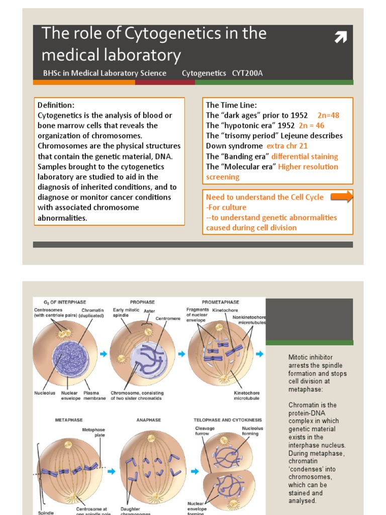 Cytogenetics Lesson 1 | PDF | Cytogenetics | Genetics