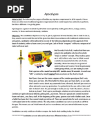 Squid Game Logic Script | PDF