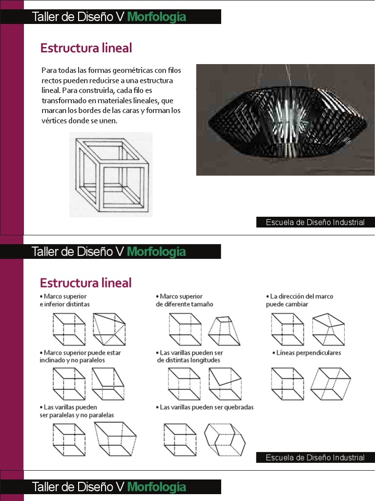 Estructura Lineal | PDF | Science | Ingeniería
