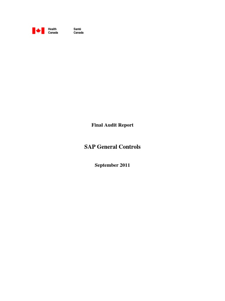 SAP Audit | PDF | Audit | Computer Security