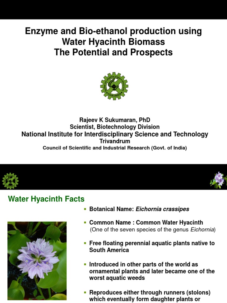 Enzyme and Ethanol production using water hyacinth biomass | Cellulose ...