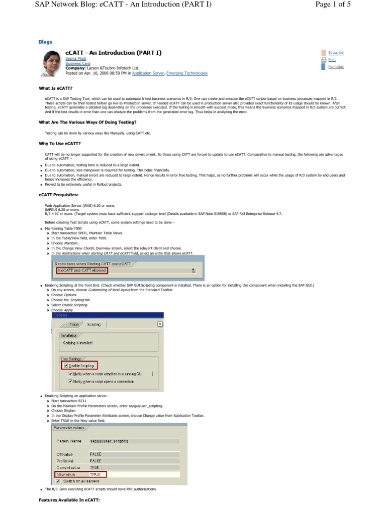 001 eCATT - An Introduction (PART I) | PDF | Graphical User Interfaces | Scripting Language