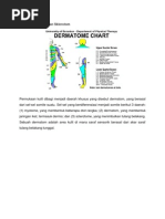 Peta Dermatome dan Inervasi Saraf | PDF