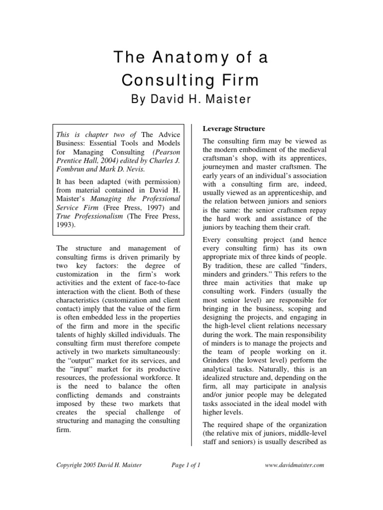 The Anatomy of A Consulting Firm | PDF | Profit (Accounting) | Consultant