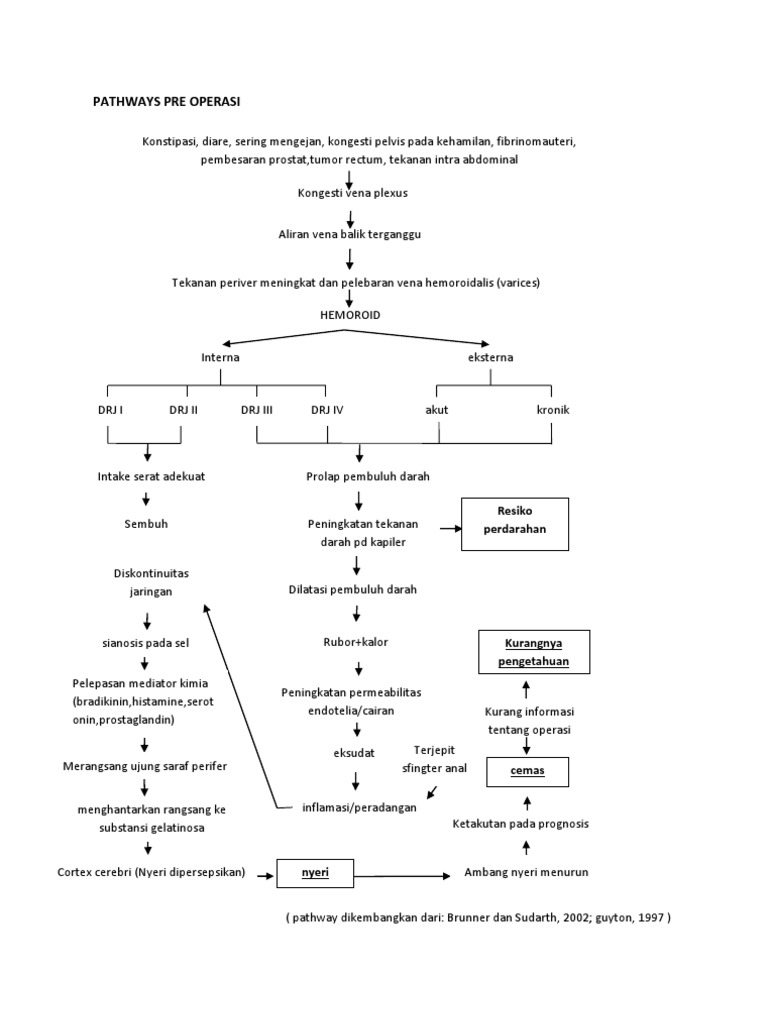 Pathways Hemoroid | PDF