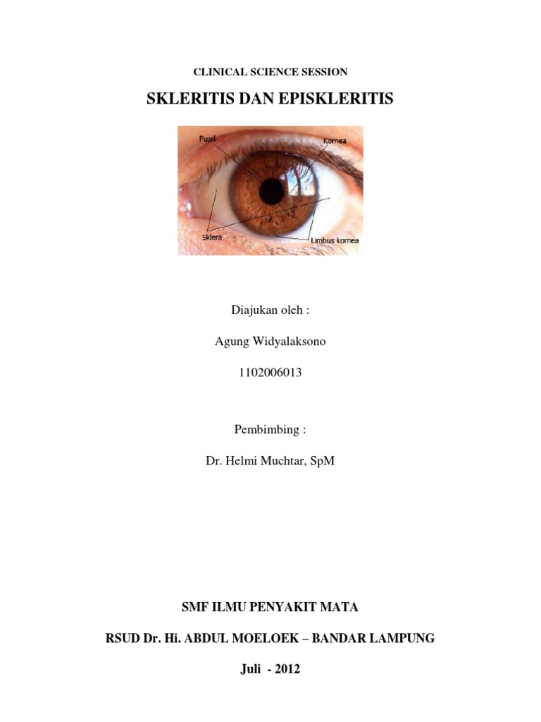 Sklera Css | PDF