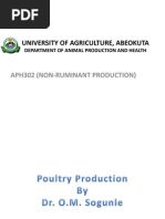 Road Runner Chicken Farming Guide | PDF | Chicken | Egg