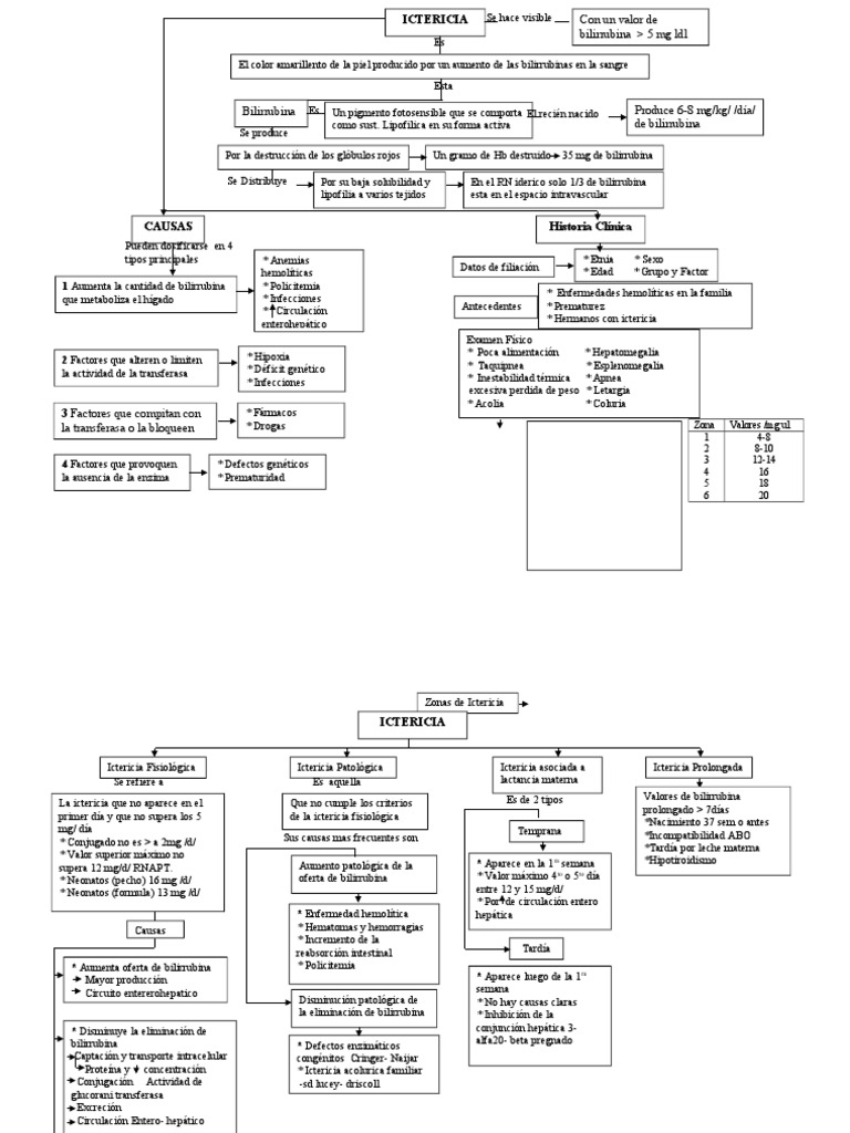 Ictericia | PDF | Especialidades Medicas | Enfermedades y trastornos