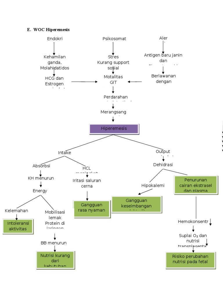 Woc Hiperemesis | PDF