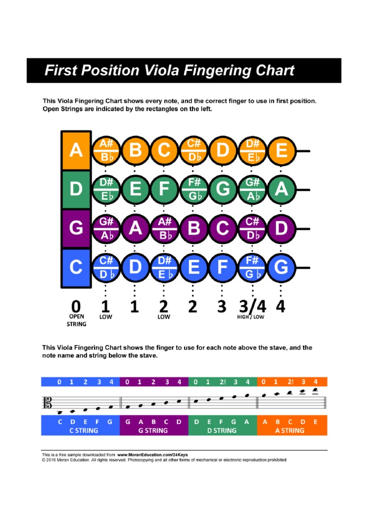 First Position Viola Fingering Chart | PDF