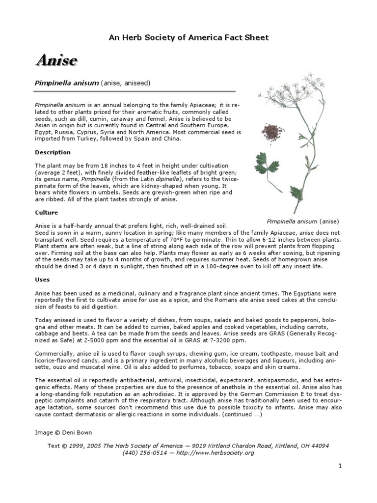 Anise | PDF | Fennel | Edible Plants