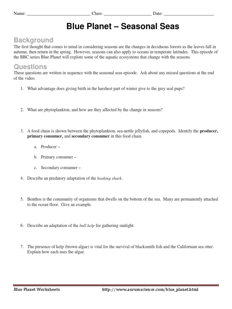 Blue Planet: Seasonal Seas Worksheet | PDF | Herring | Predation