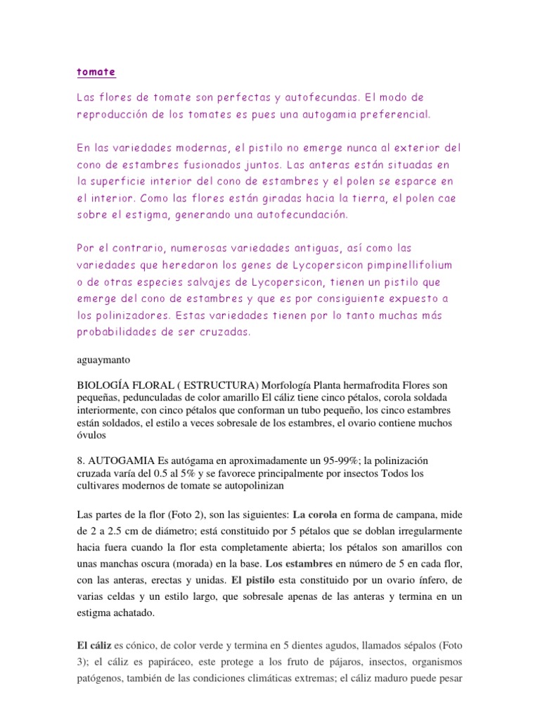 La biología floral del tomate y su reproducción mediante autogamia ...