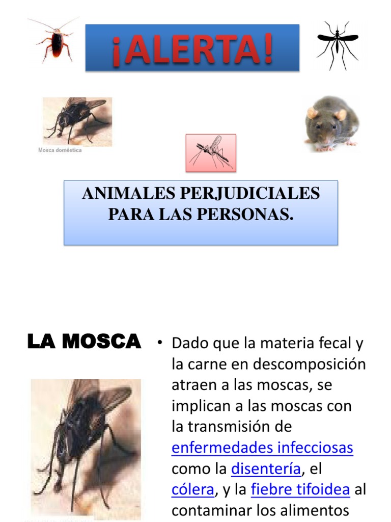 Animales Perjudiciales | PDF