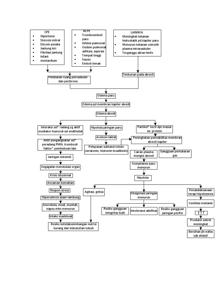 Pathway - Peeklampsia ALO | PDF