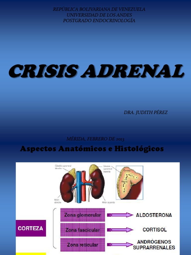Crisis Adrenal y Adrenalitis Autoinmune | PDF | Glándula suprarrenal ...