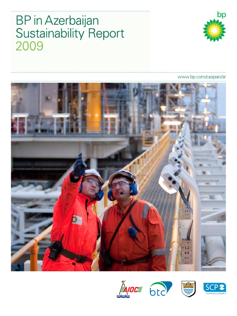 BP Sustainability Report 2009 | PDF | Bp | Business