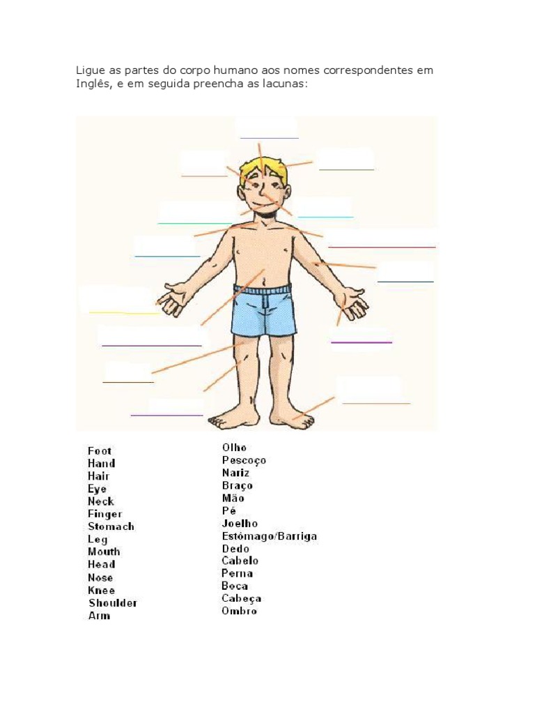 Partes Do Corpo Humano Em Ingles