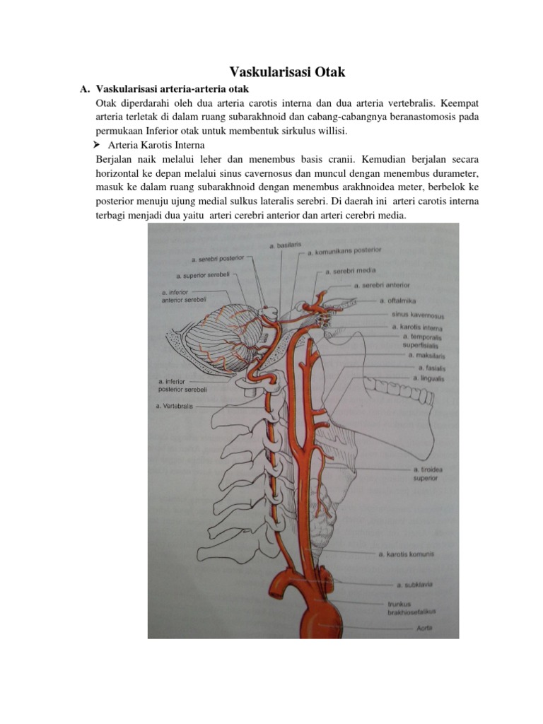 Vaskularisasi Otak | PDF