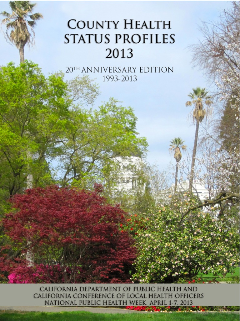 County Health Status Profiles 2013 | PDF | International Statistical ...