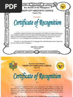 BSP Certificate | PDF | Scouting | Philippines