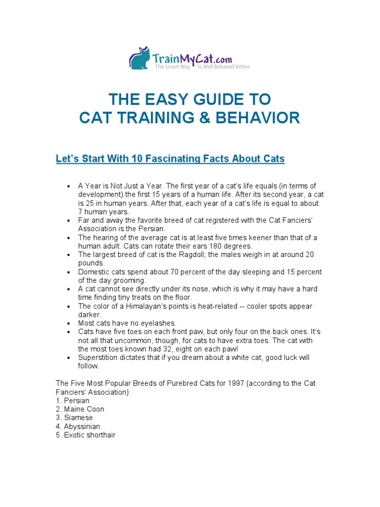 The Easy Guide To Training Your Cat | PDF | Kitten | Cats