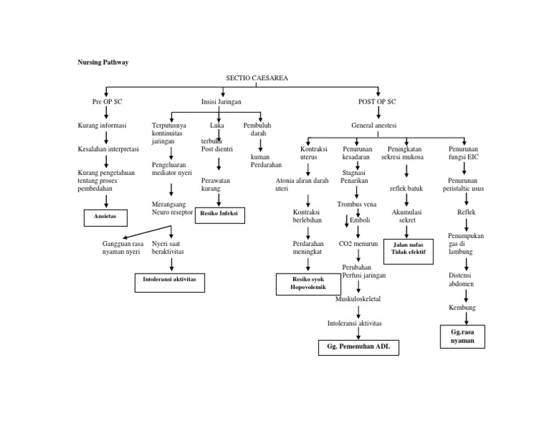Nursing Pathway SC | PDF