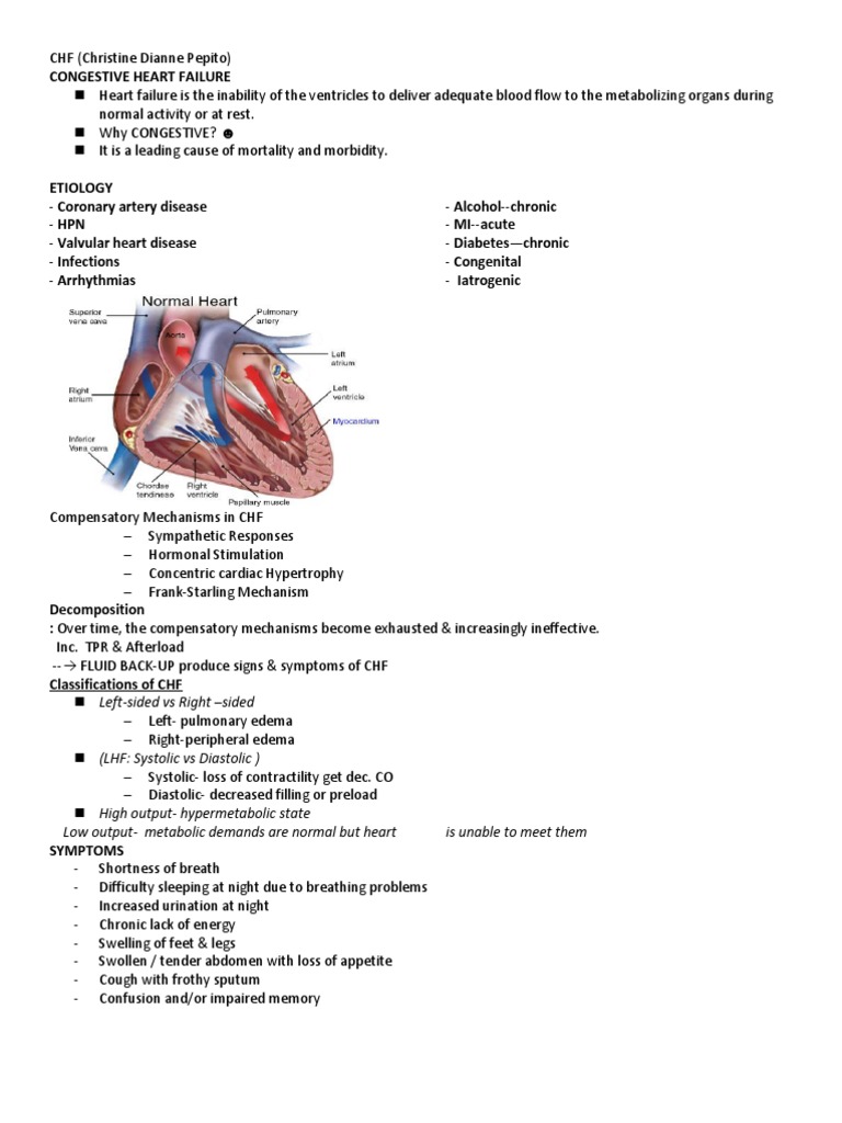 Understanding Congestive Heart Failure | PDF | Heart Failure | Heart