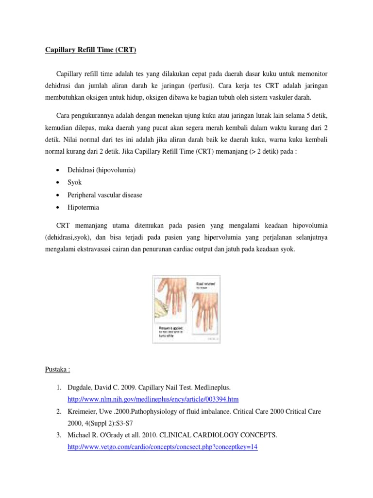 Capillary Refill Time | PDF