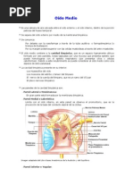 Anatomía de la Caja Timpánica | PDF | Oído | Sistema Auditorio