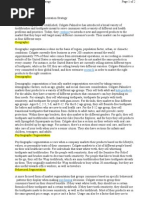 Launching A Kids Toothpaste | PDF | Market Segmentation | Brand