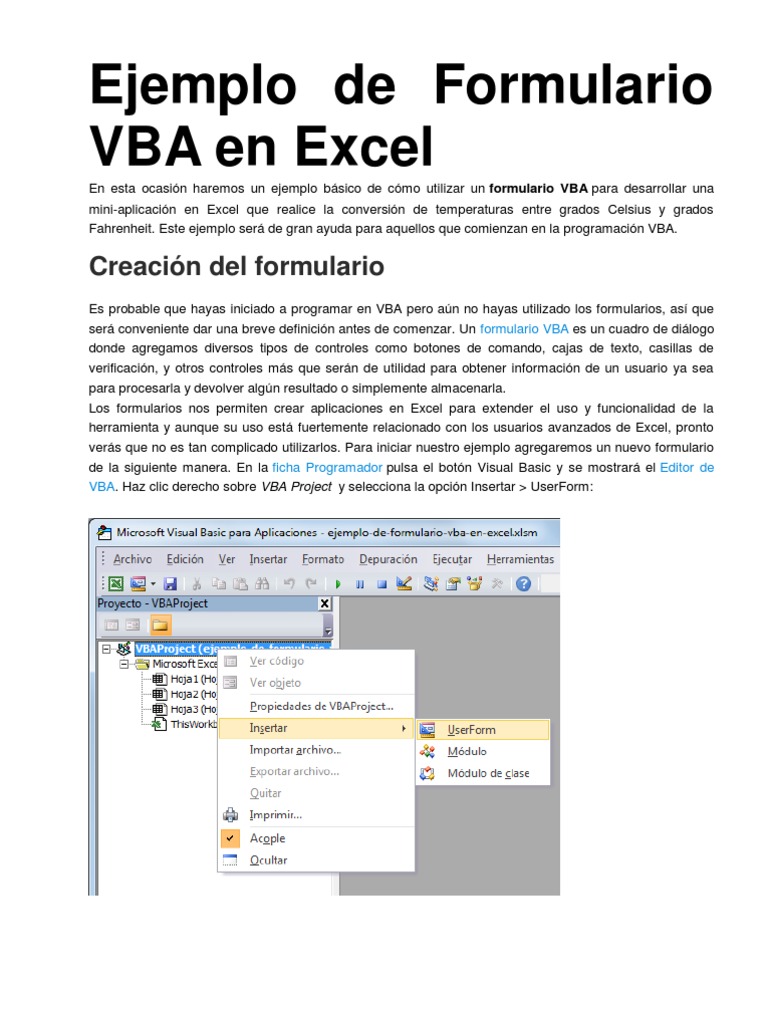 Ejemplo de Formulario VBA en Excel | PDF | Microsoft Excel | Point and Click