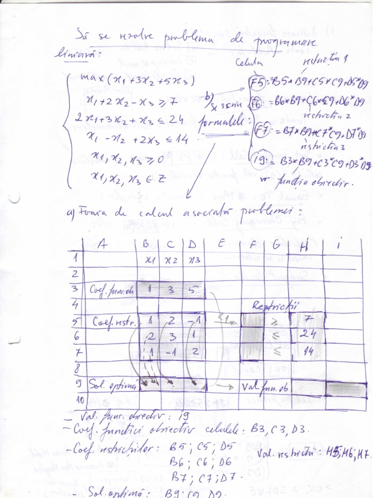 Programare Liniara | PDF | Computers