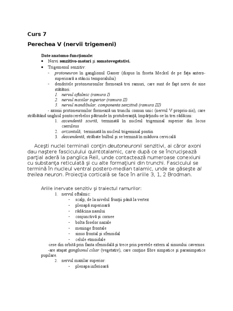 7 Nervii Cranieni | PDF
