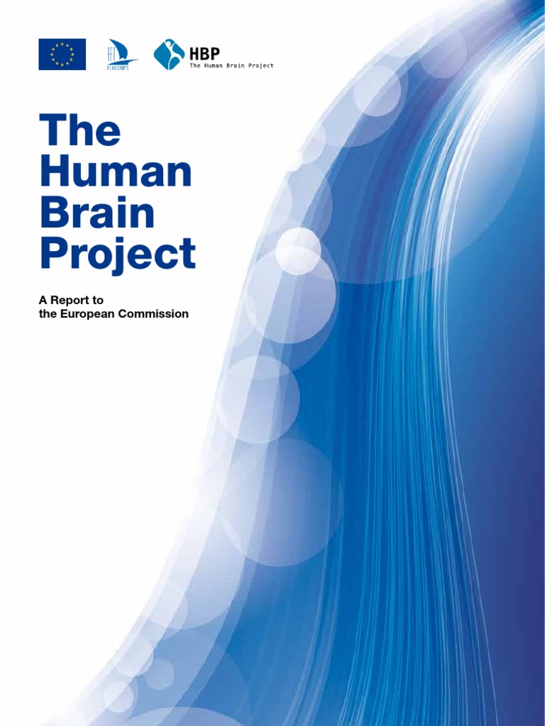 The Human Brain Project: A Report To The European Commission | PDF ...