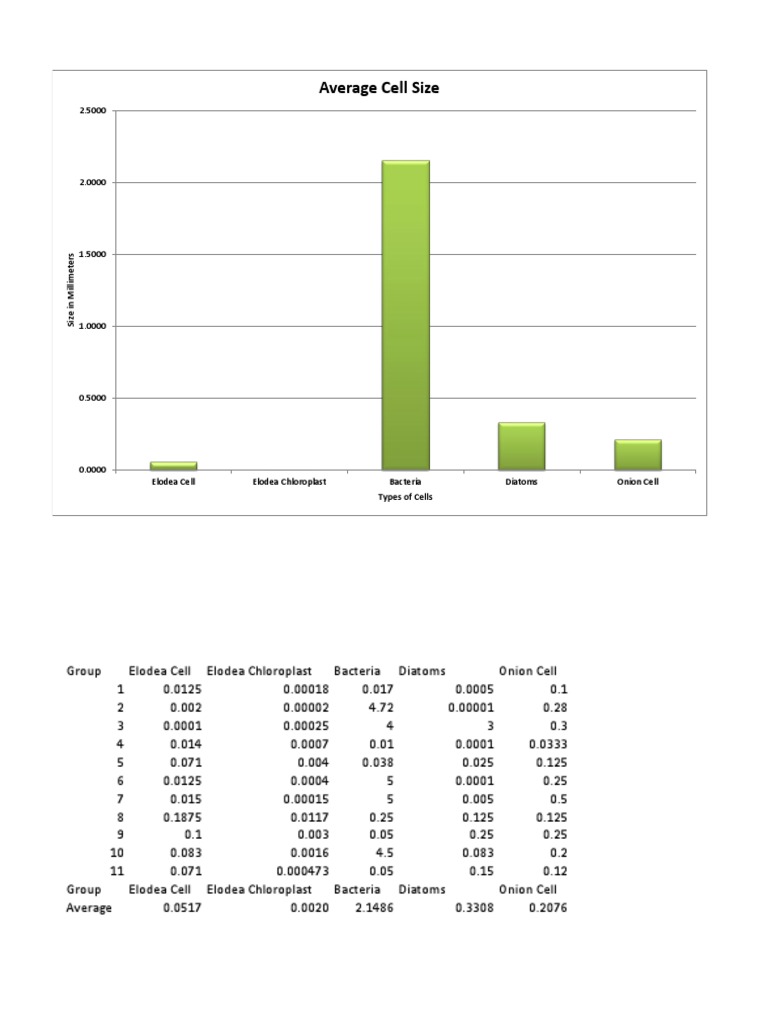 Cell Size Comparison Chart | PDF