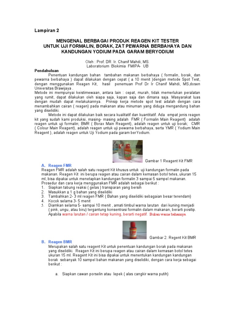 Reagen Kit Uji Formalin dan Borak | PDF