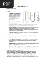 La Rata Con Thinner - Edited PDF | PDF