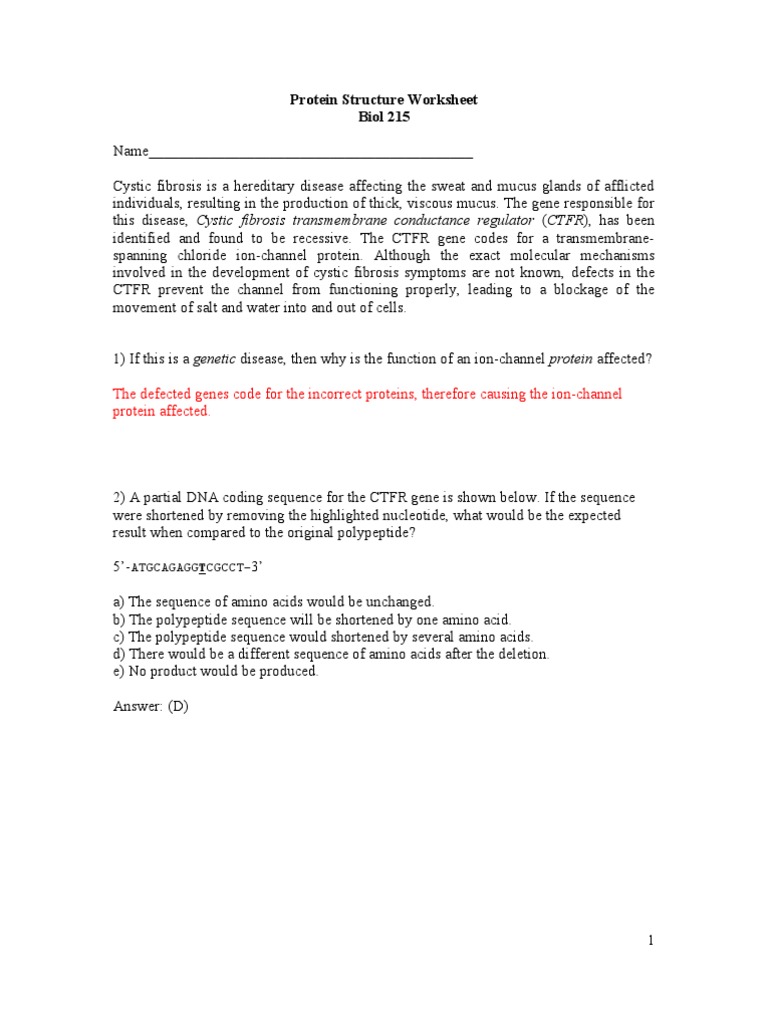 6 - Protein Structure Worksheet | PDF | Proteins | Gene