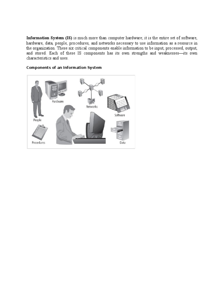 Understanding Information System Components | PDF
