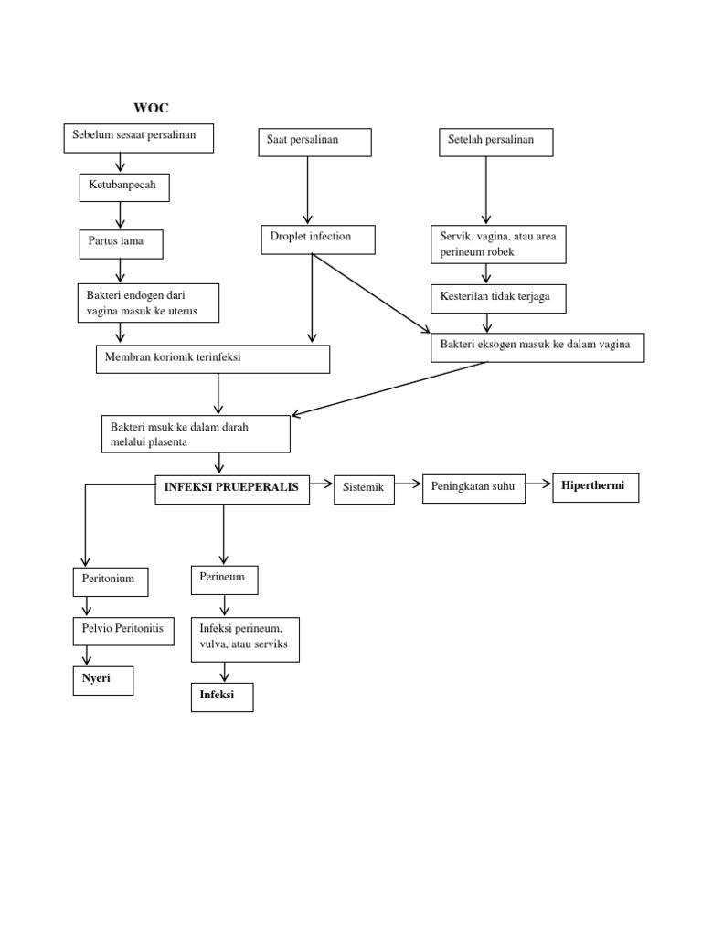 Woc Puerperalis Baru | PDF