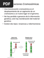Principio Alara | PDF | Planificación | Protección de radiación