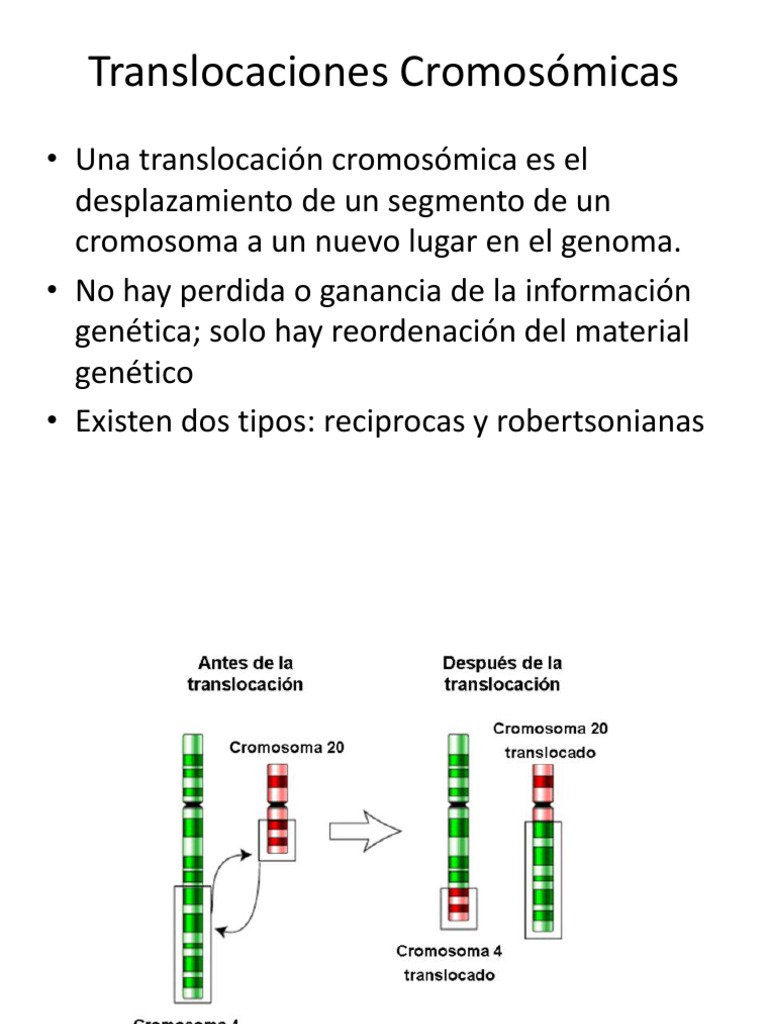 Translocaciones Cromosomicas | PDF | Síndrome de Down | Cromosoma