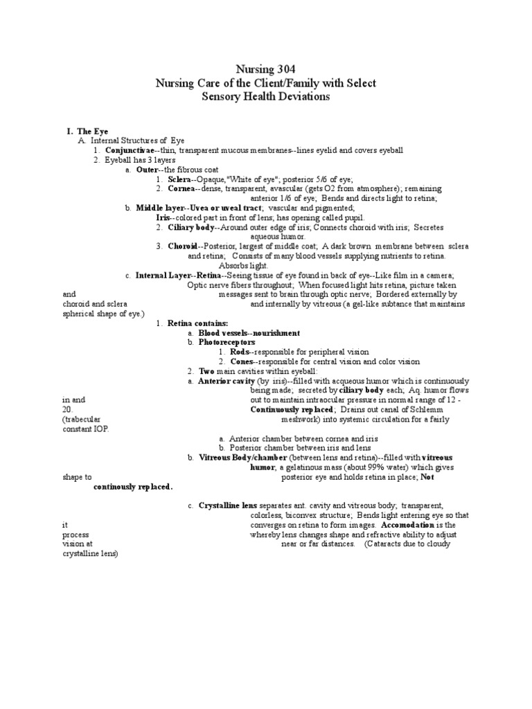 Sensory Outline For Blackboard | PDF