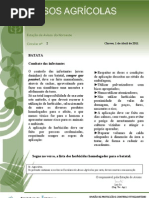 HEAT Bula Rev07 26-08-21 | PDF | Batata | Enzima